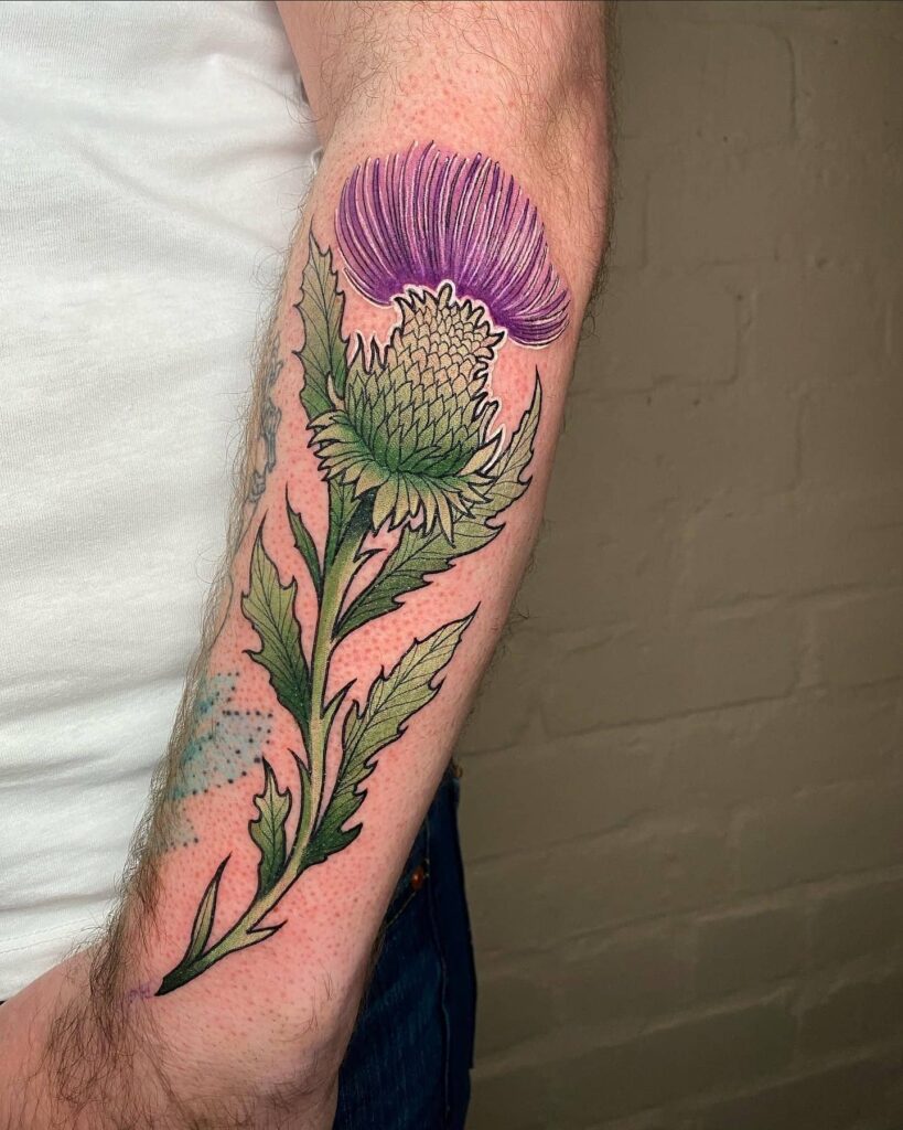 Thistle Tattoo Ideas – Tattoo Designs for Women